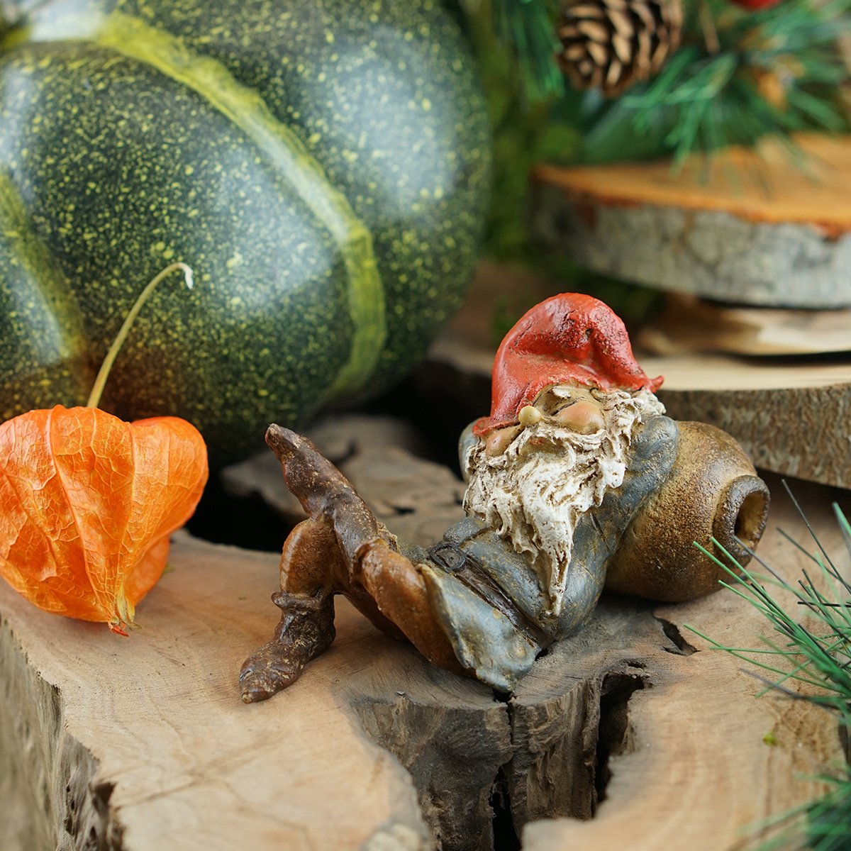 Top Collection Miniature Fairy Garden and Terrarium Garden Gnome Nappi