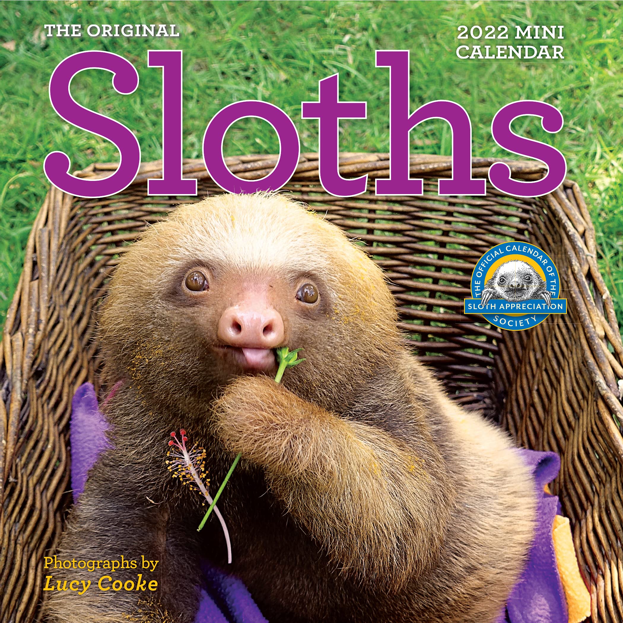 Original Sloths Mini Wall Calendar 2022: 12 Months of Irresistible Cut